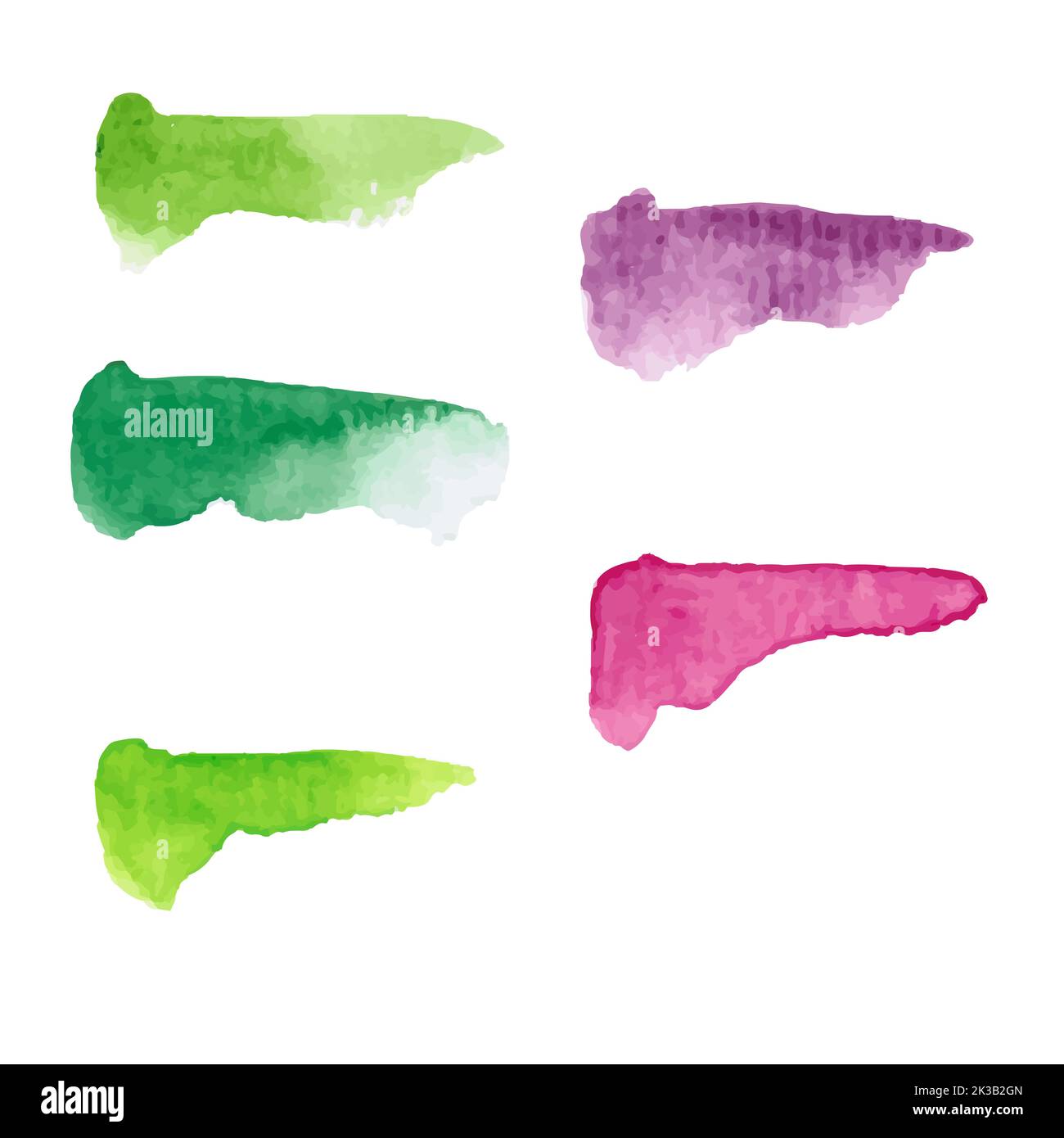Set of five watercolor strokes on a white background, vector ...