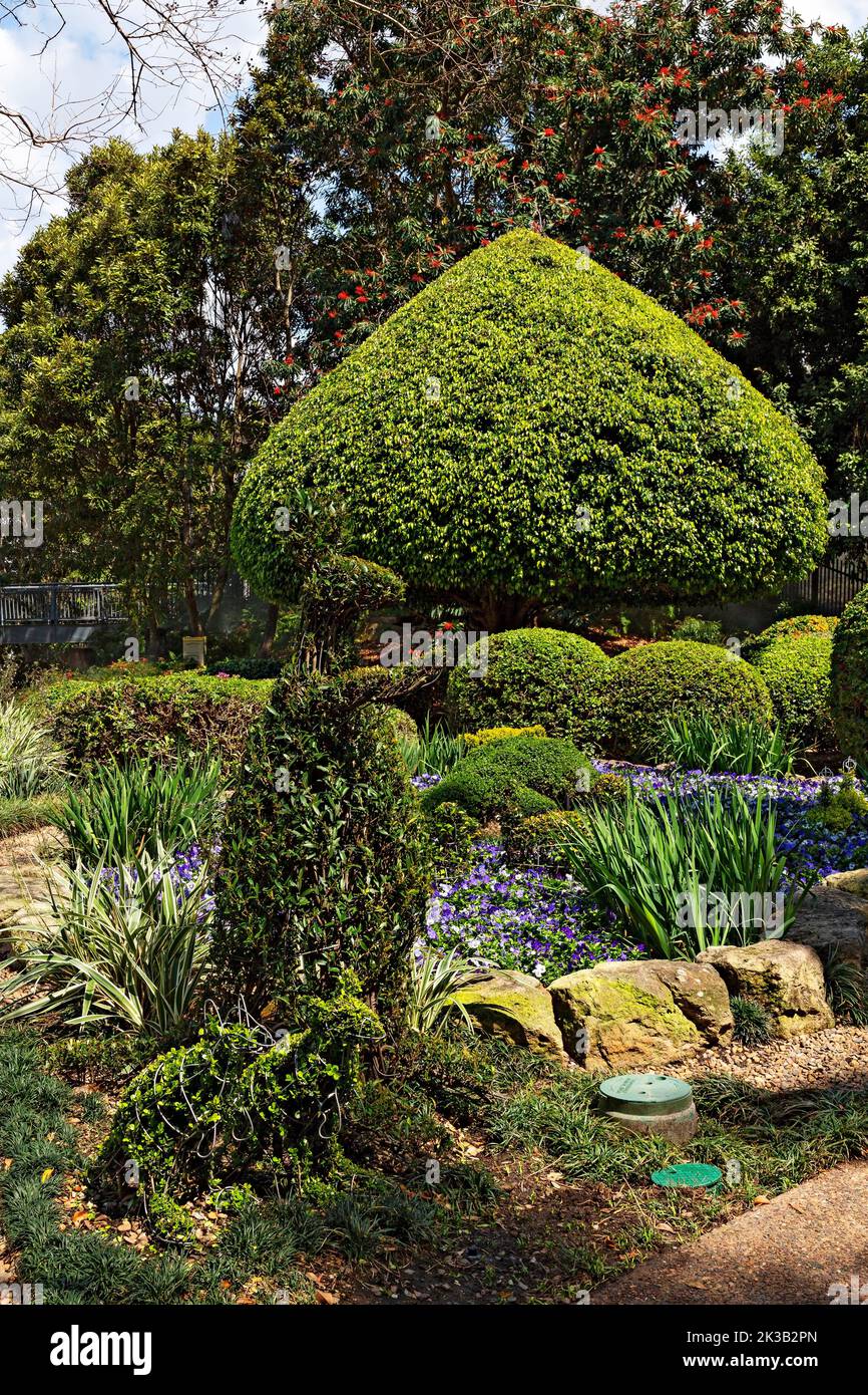 Brisbane Australia / The beautiful Roma Street Gardens in Spring Hill ...