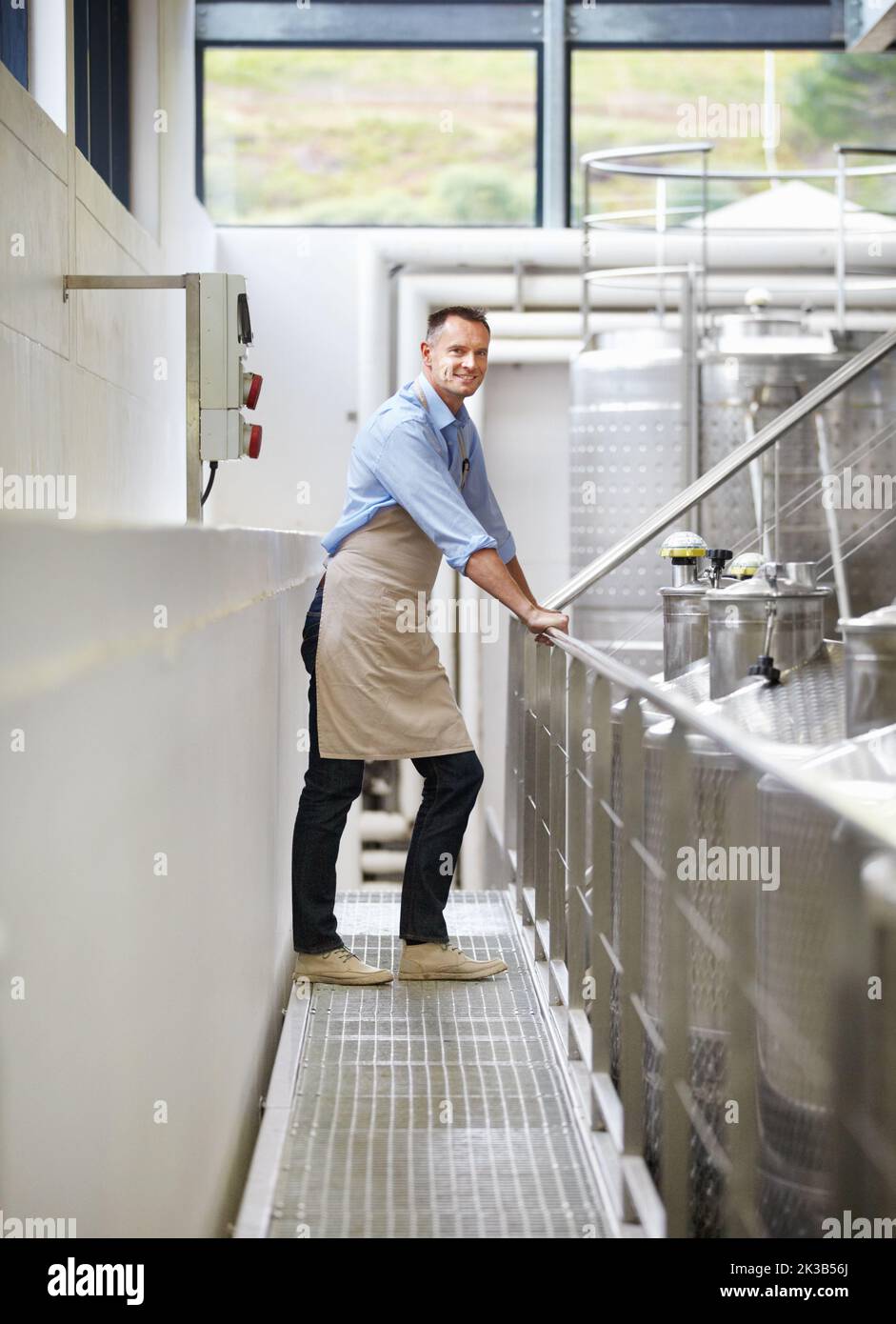 Making world class wines. Portrait of a mature wine maker standing next ...