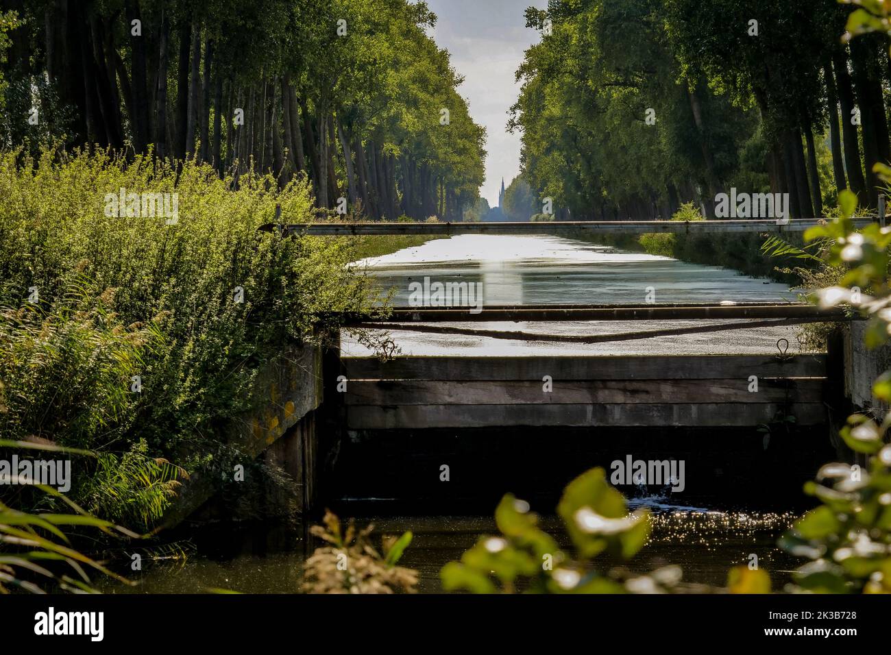 View of tree lined canal and water overflow with church tower in the ...