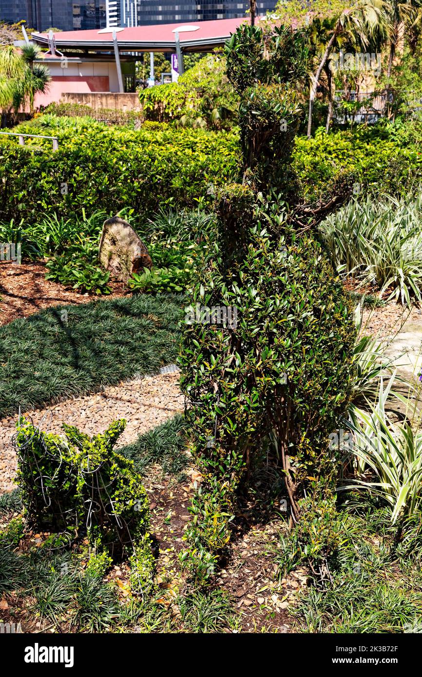 Clipped topiary forms hi-res stock photography and images - Alamy
