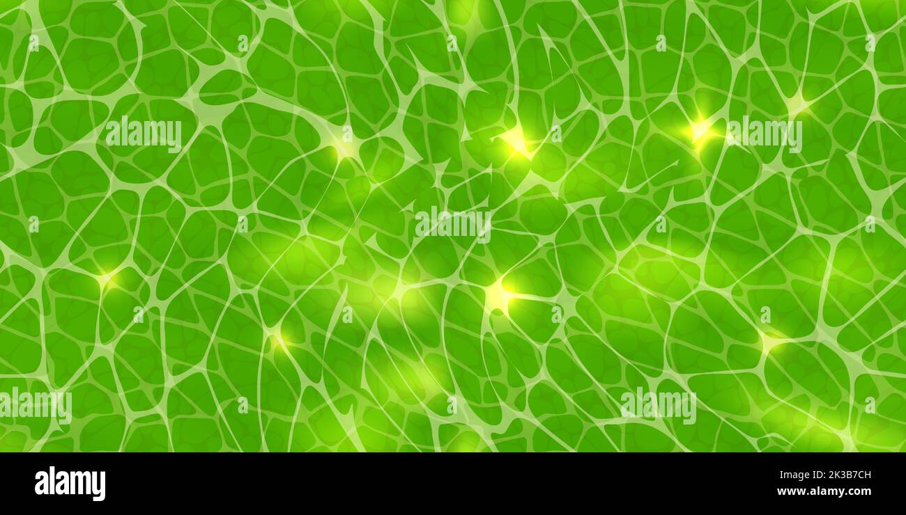 Abstract green background or plant cells texture under a microscope ...