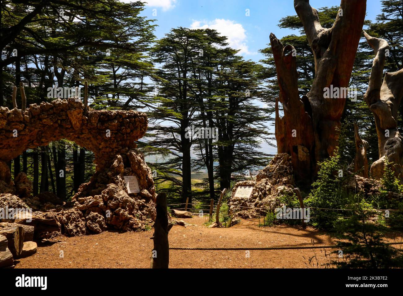 The Trinity square of the Cedars of God at Kadisha Valley, Bsharri, Northern Lebanon Stock Photo ...