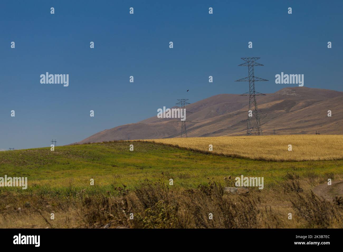 The electric pylons in large green hills and plains under blue sky ...