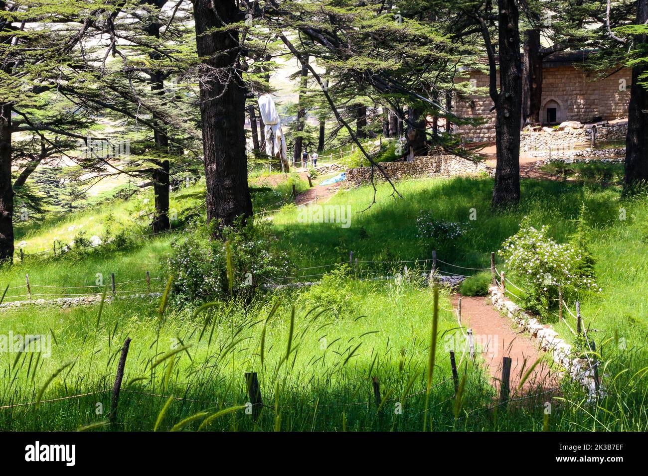 A hiking trail in The Cedars of God at Kadisha Valley, Bsharri, Lebanon Stock Photo - Alamy