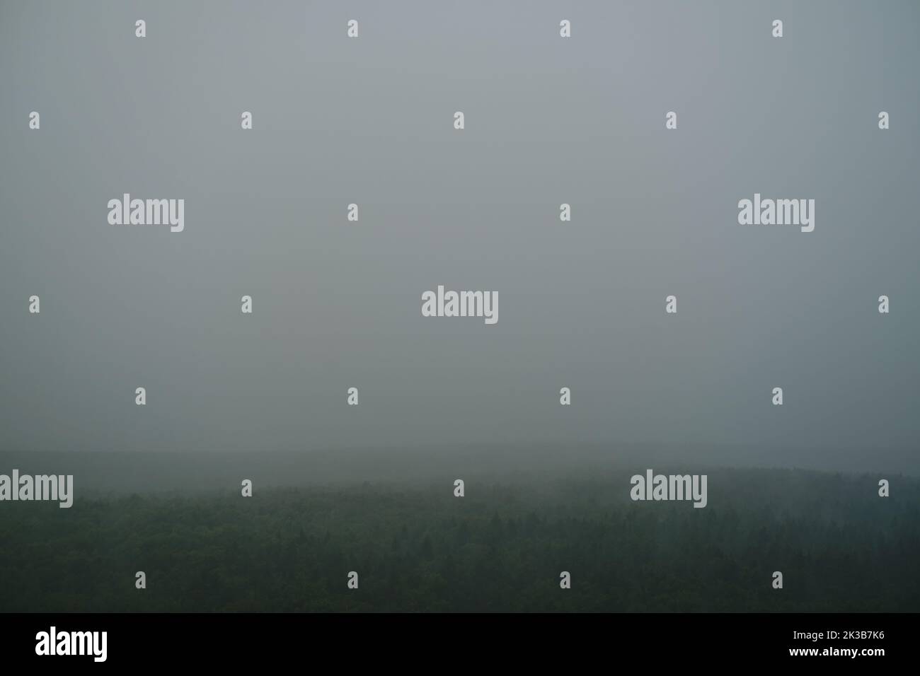 Rain storm over rainforest hi-res stock photography and images - Alamy