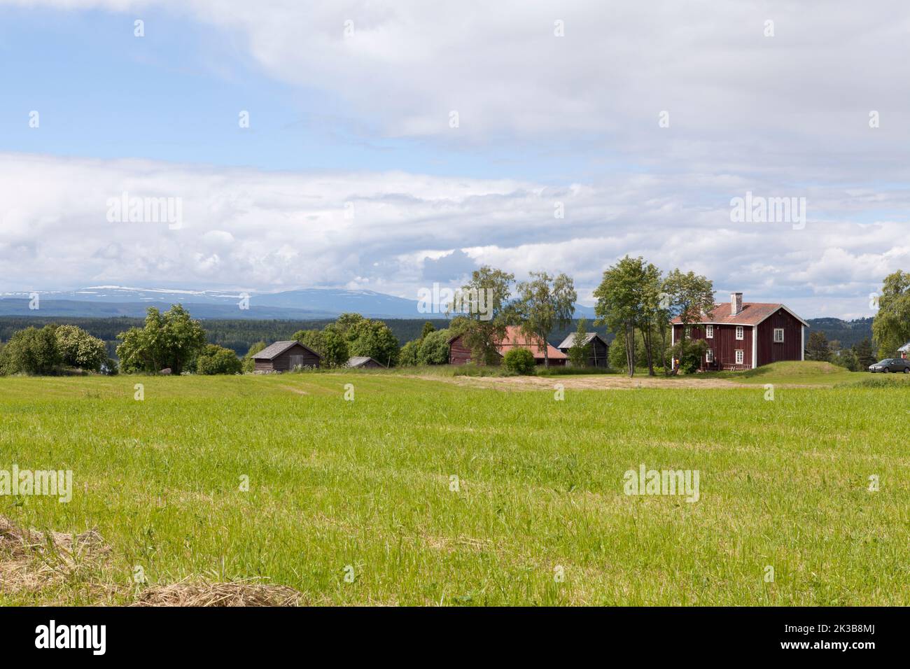 Buildings on the farmland in sunny June and July. Agriculture, farming ...