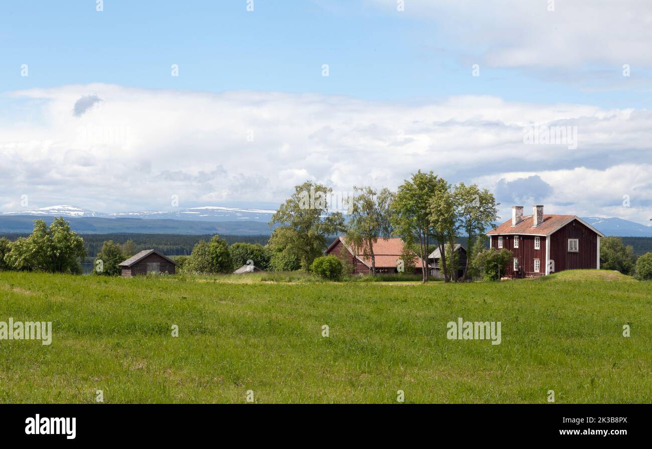 Buildings on the farmland in sunny June and July. Agriculture, farming ...