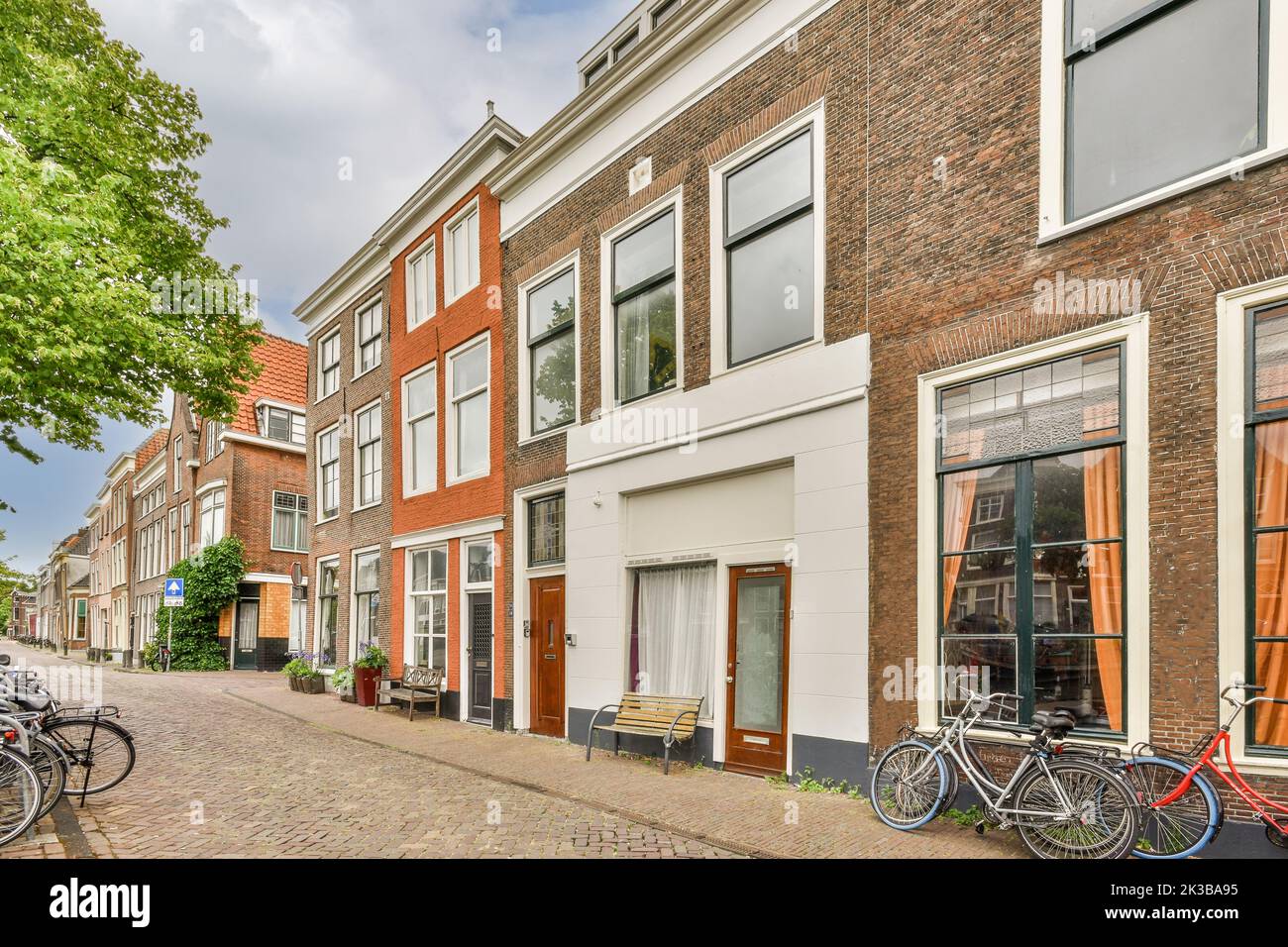 View of street near building with beauty of vegetation outside Stock ...