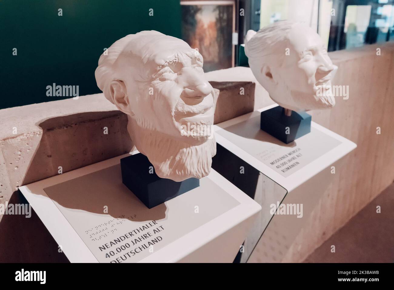 22 July 2022, Neanderthal museum, Germany: Reconstruction of the skull ...