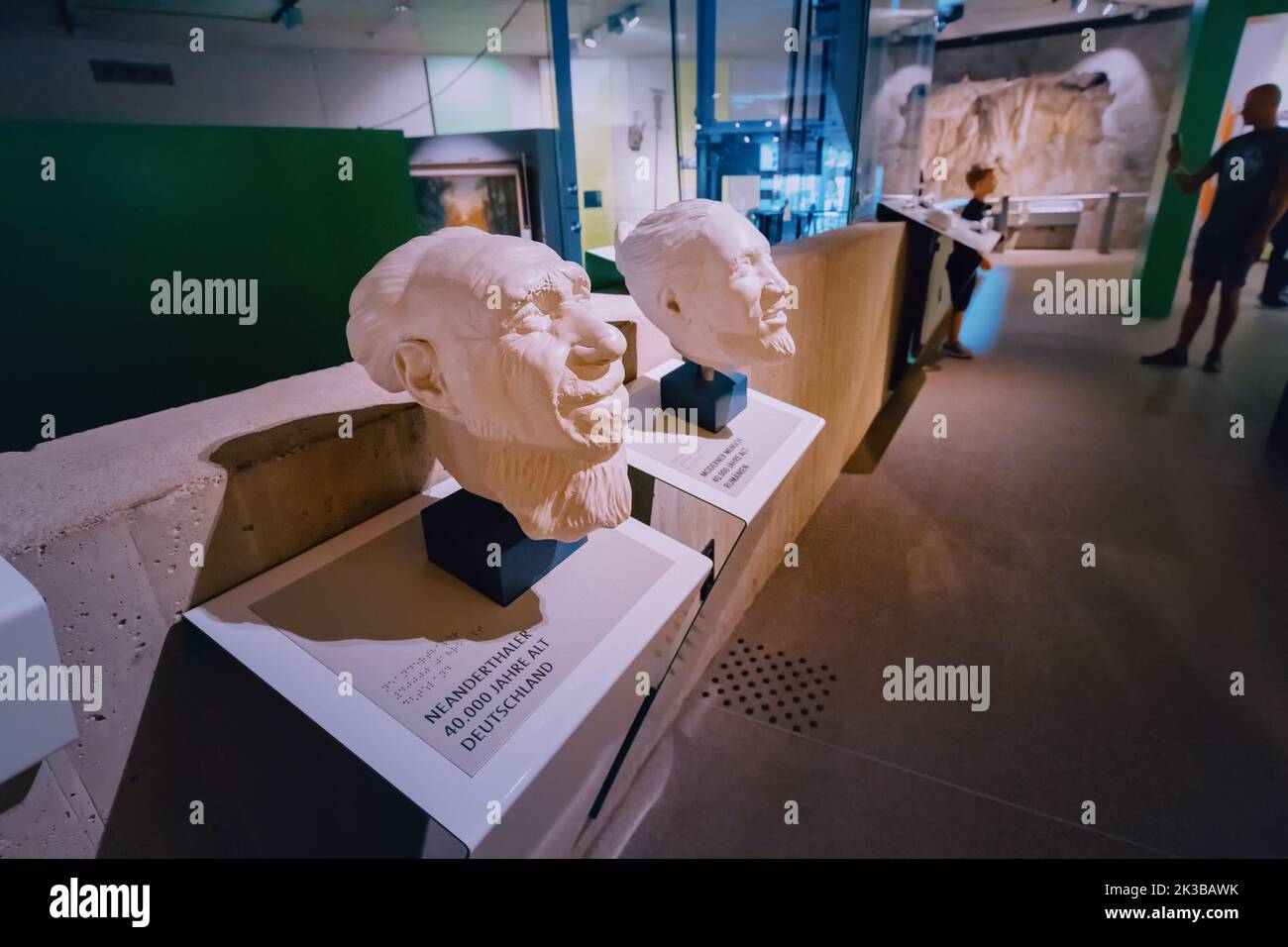 22 July 2022, Neanderthal museum, Germany: Reconstruction of the skull ...