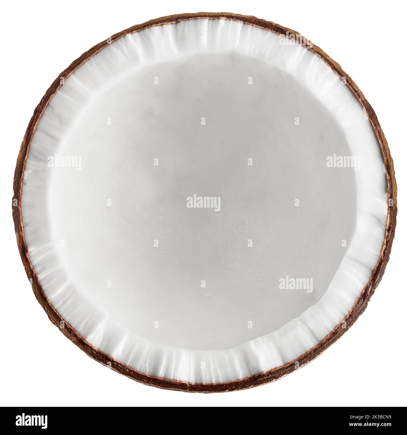 coconut, isolated on white background, full depth of field Stock Photo ...