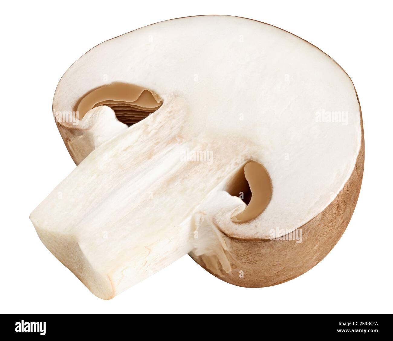 champignon, mushroom, isolated on white background, clipping path, full ...