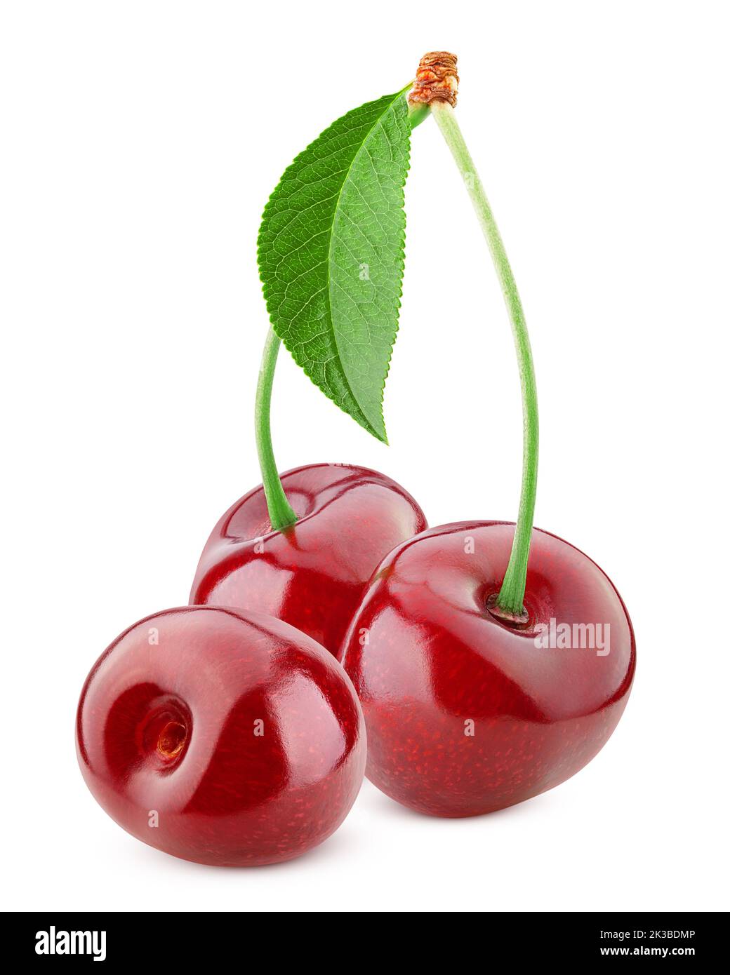cherry isolated on white background, full depth of field, clipping path ...