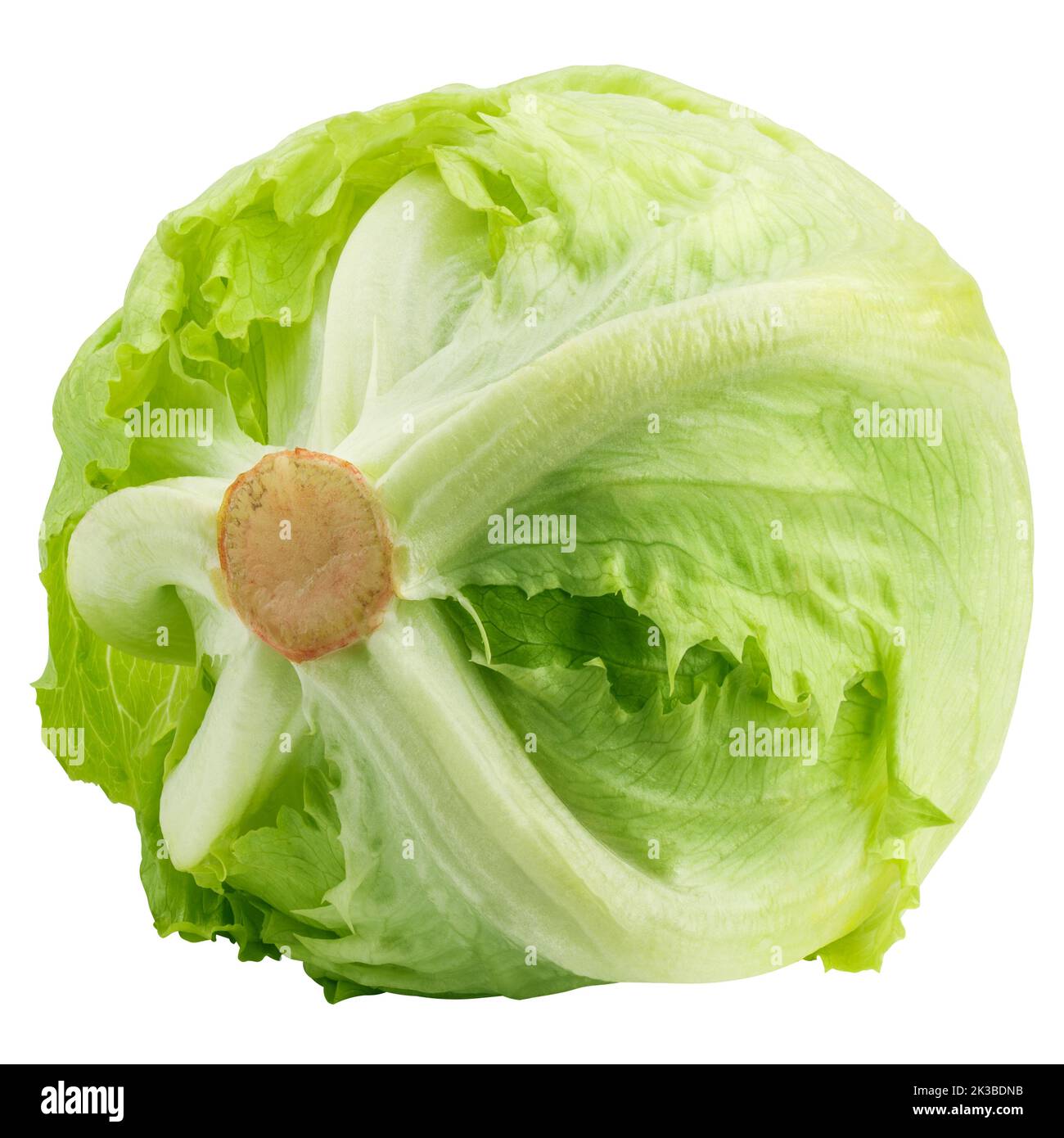 Green iceberg lettuce isolated on white background, clipping path, full ...