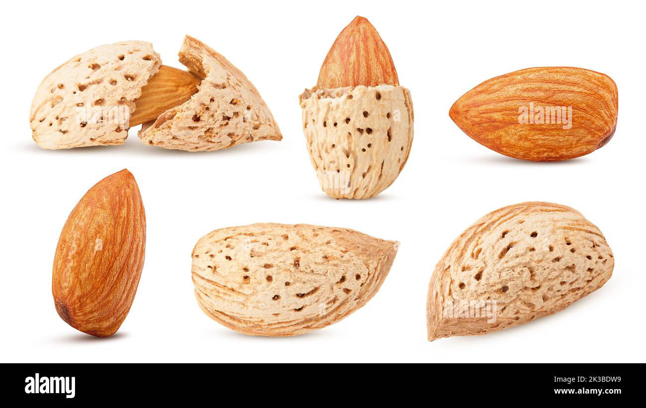 almond isolated on white background, full depth of field Stock Photo ...