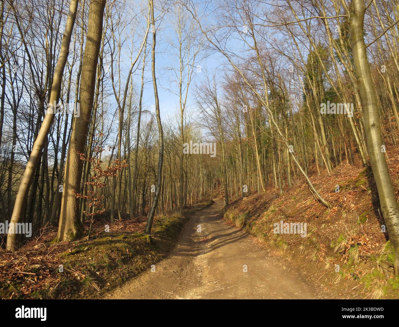 Cotswold Way long distance footpath National Trail. The Cotswolds AONB ...