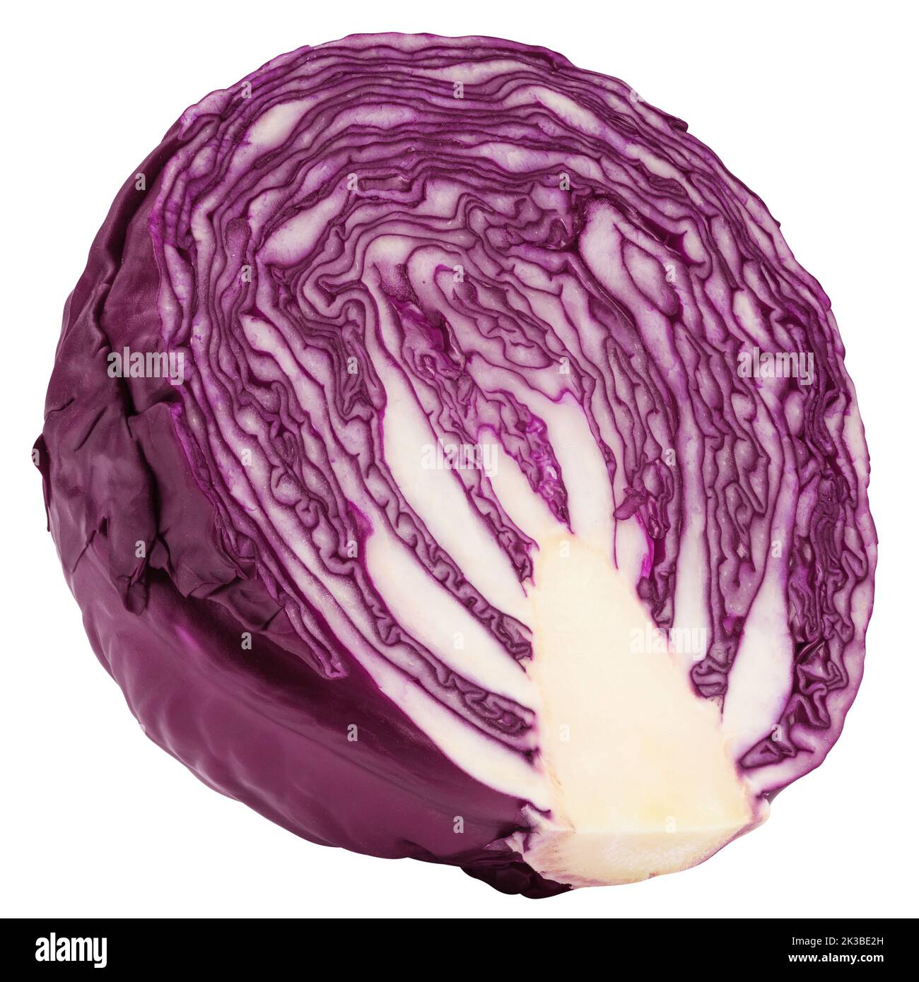 red cabbage, isolated on white background, clipping path, full depth of ...