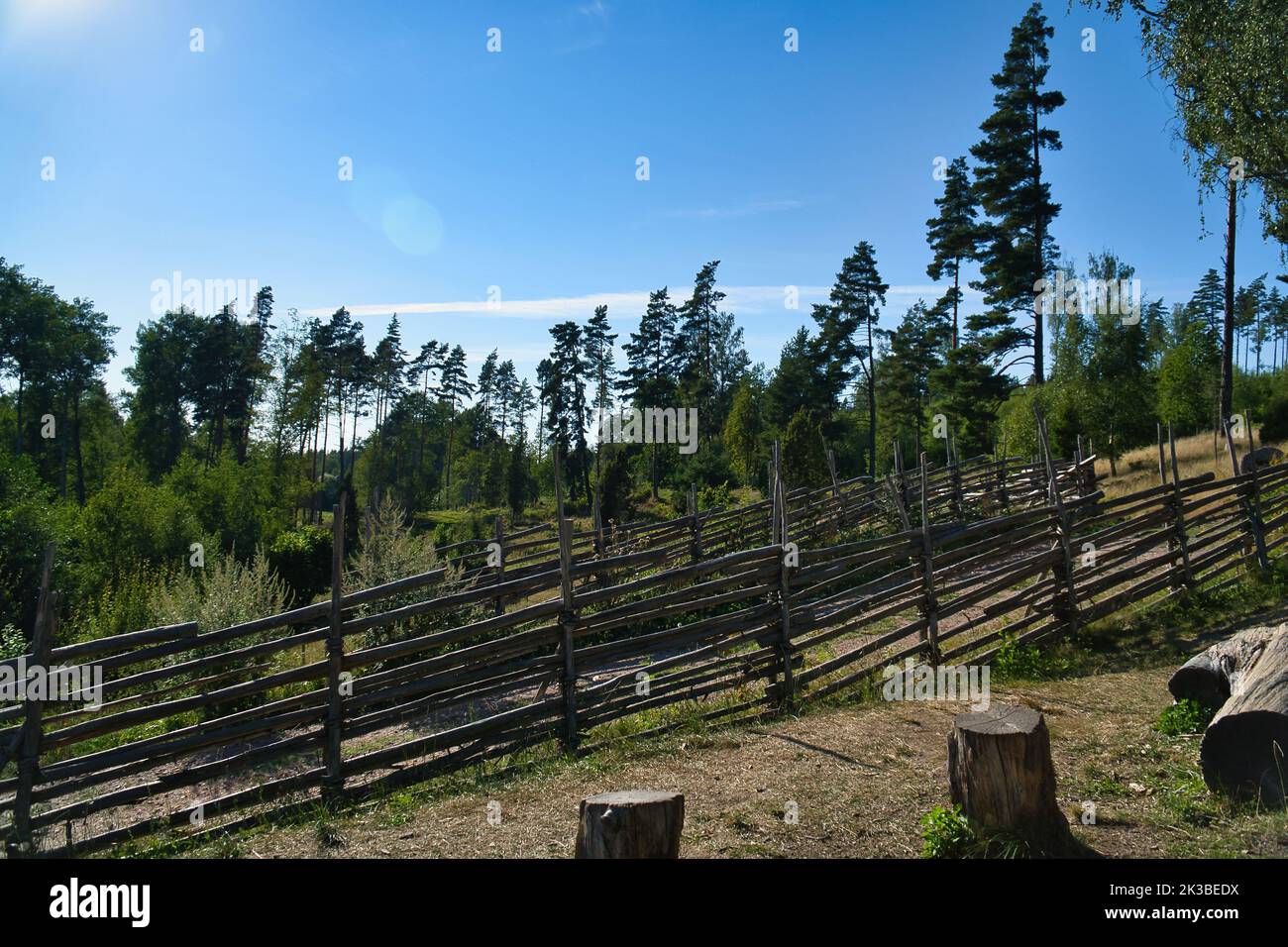 Walk in sweden smalland on a path by the ancient wooden fence. Forest ...