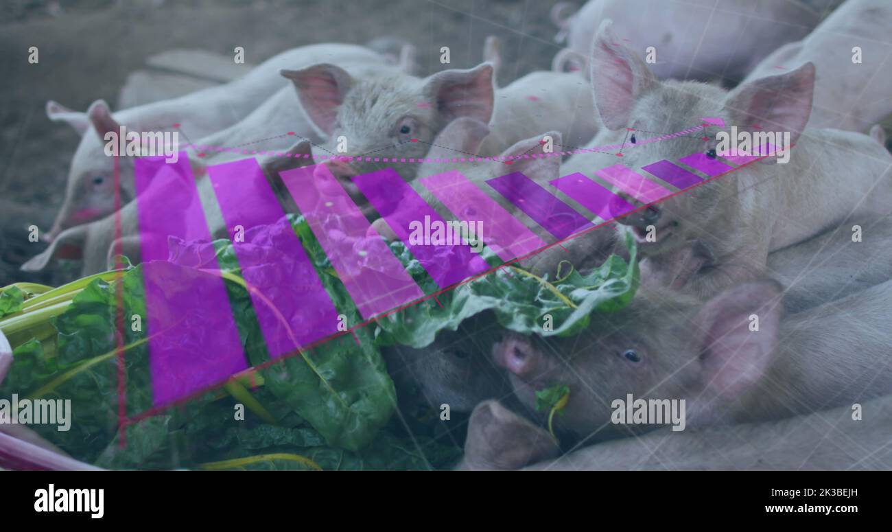 Data feeding into computer hi-res stock photography and images - Alamy