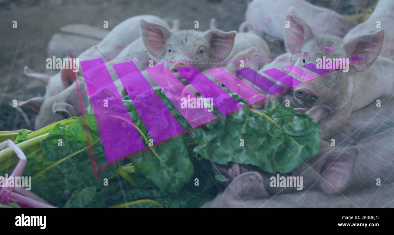 Data feeding into computer hi-res stock photography and images - Alamy