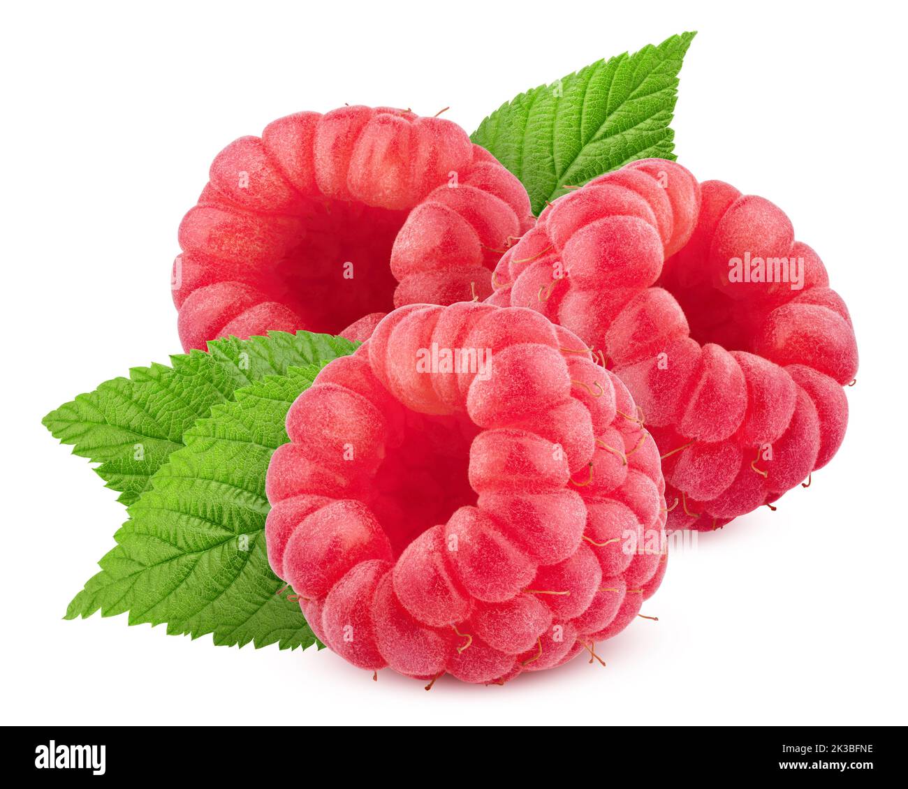 Raspberry isolated on white background, clipping path, full depth of ...