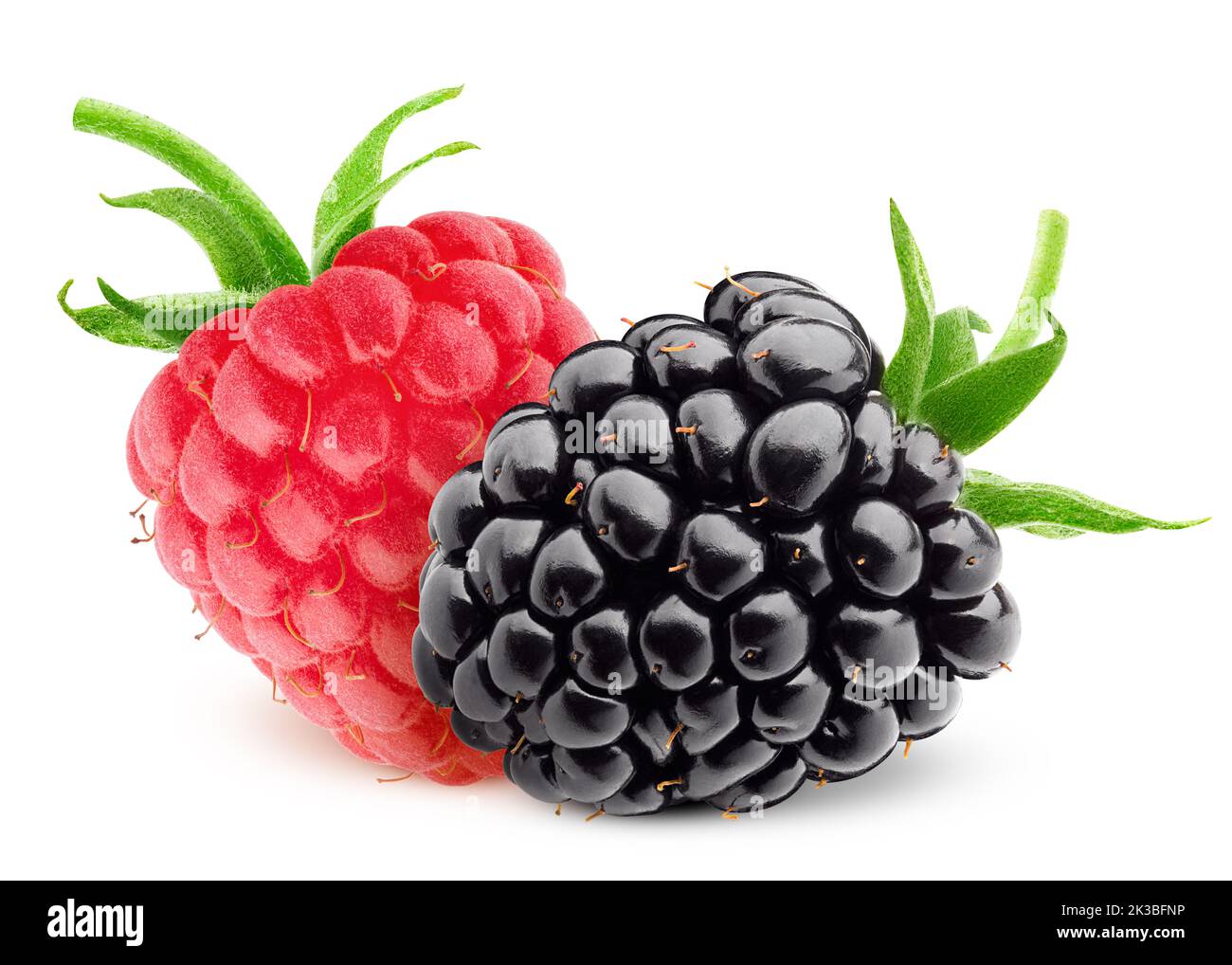 wild berries, raspberry, blackberriy isolated on white background ...