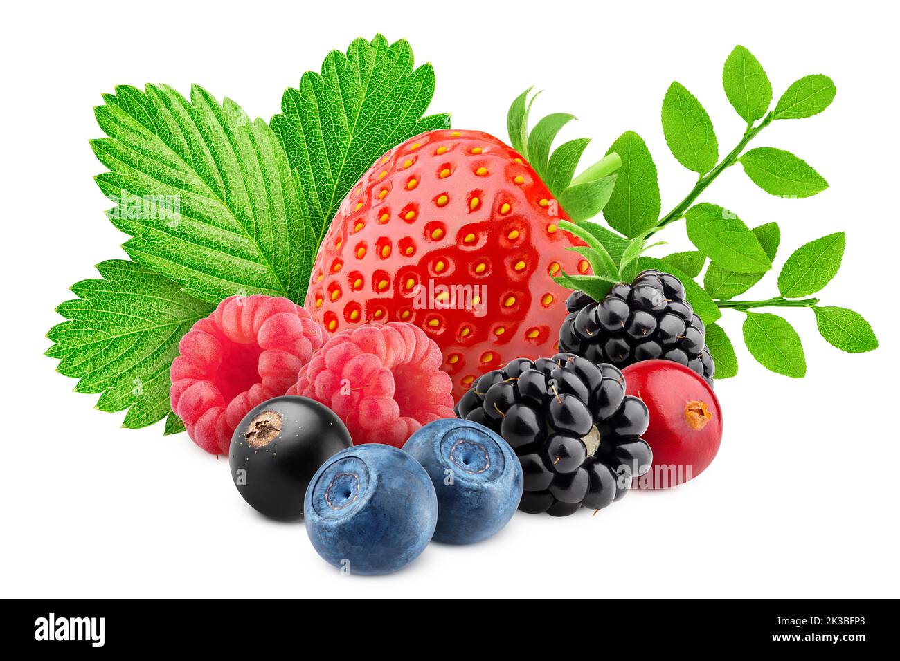 wild berries mix, strawberry, raspberry, currant, blueberry, cranberry ...