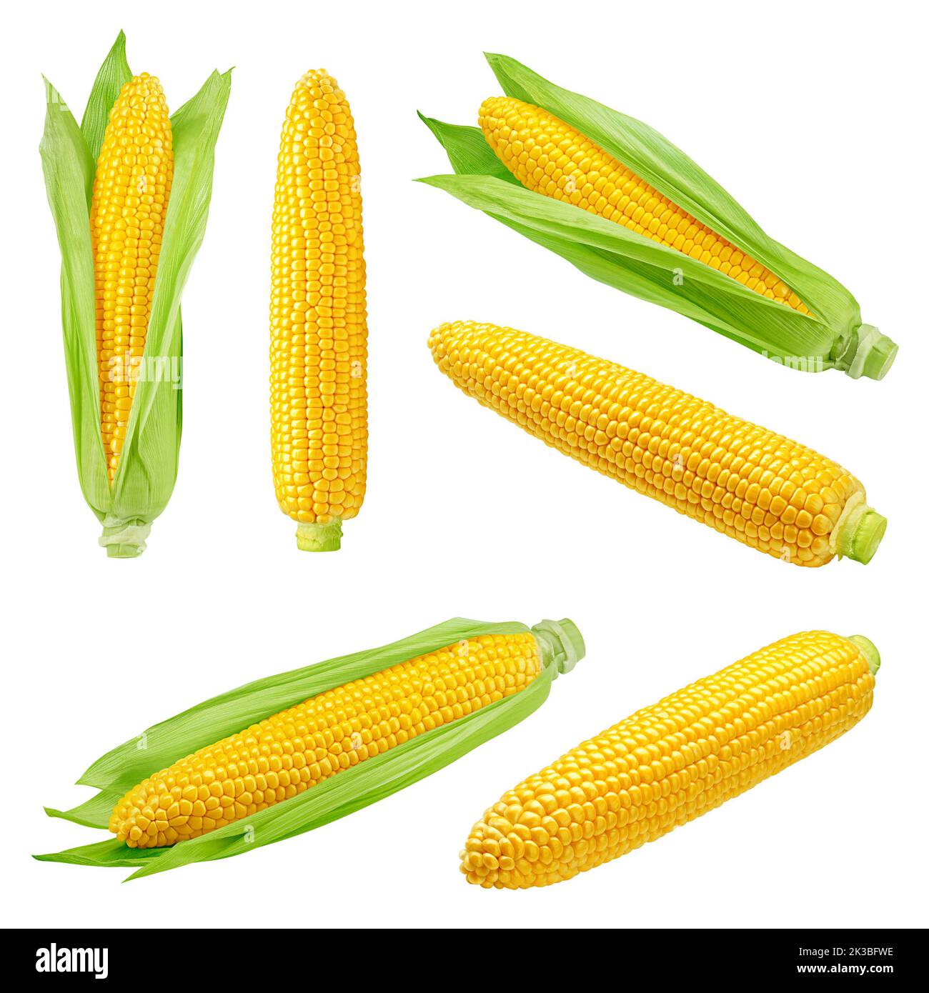 Corn Ear In Spanish at Virginia Langley blog Corn Ear In Spanish at Virginia Langley blog