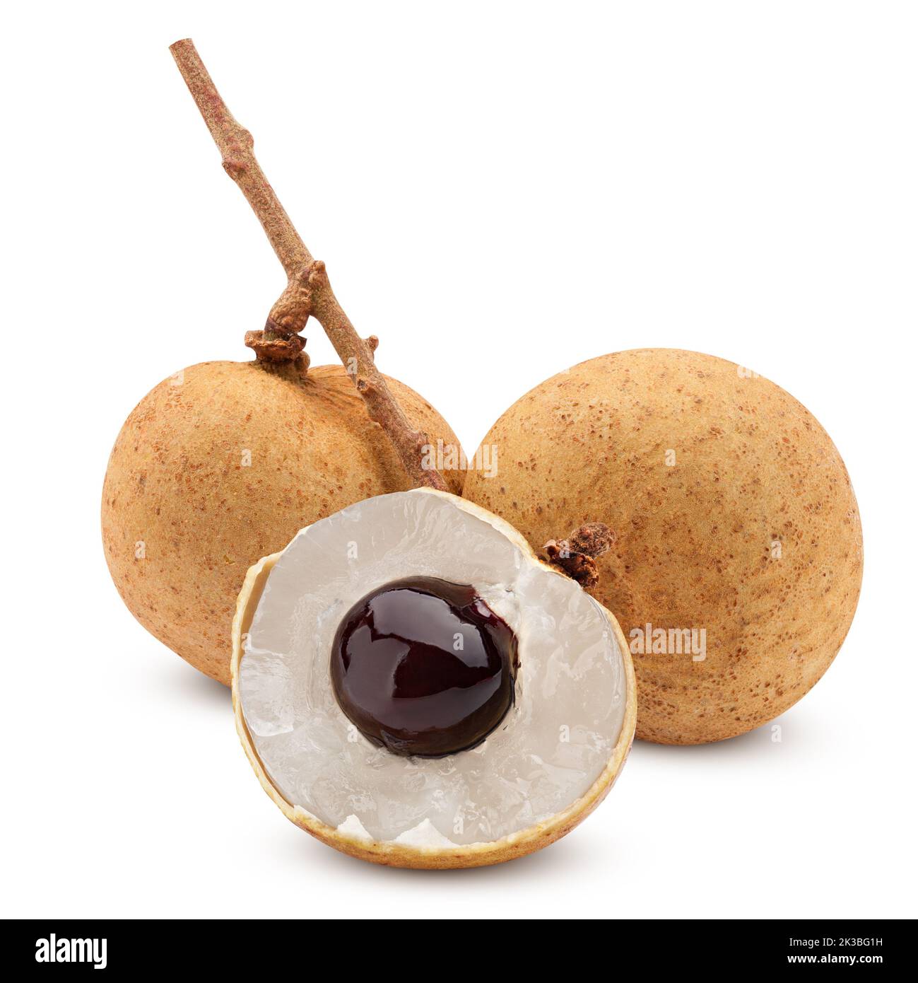 longan, isolated on white background, clipping path, full depth of ...