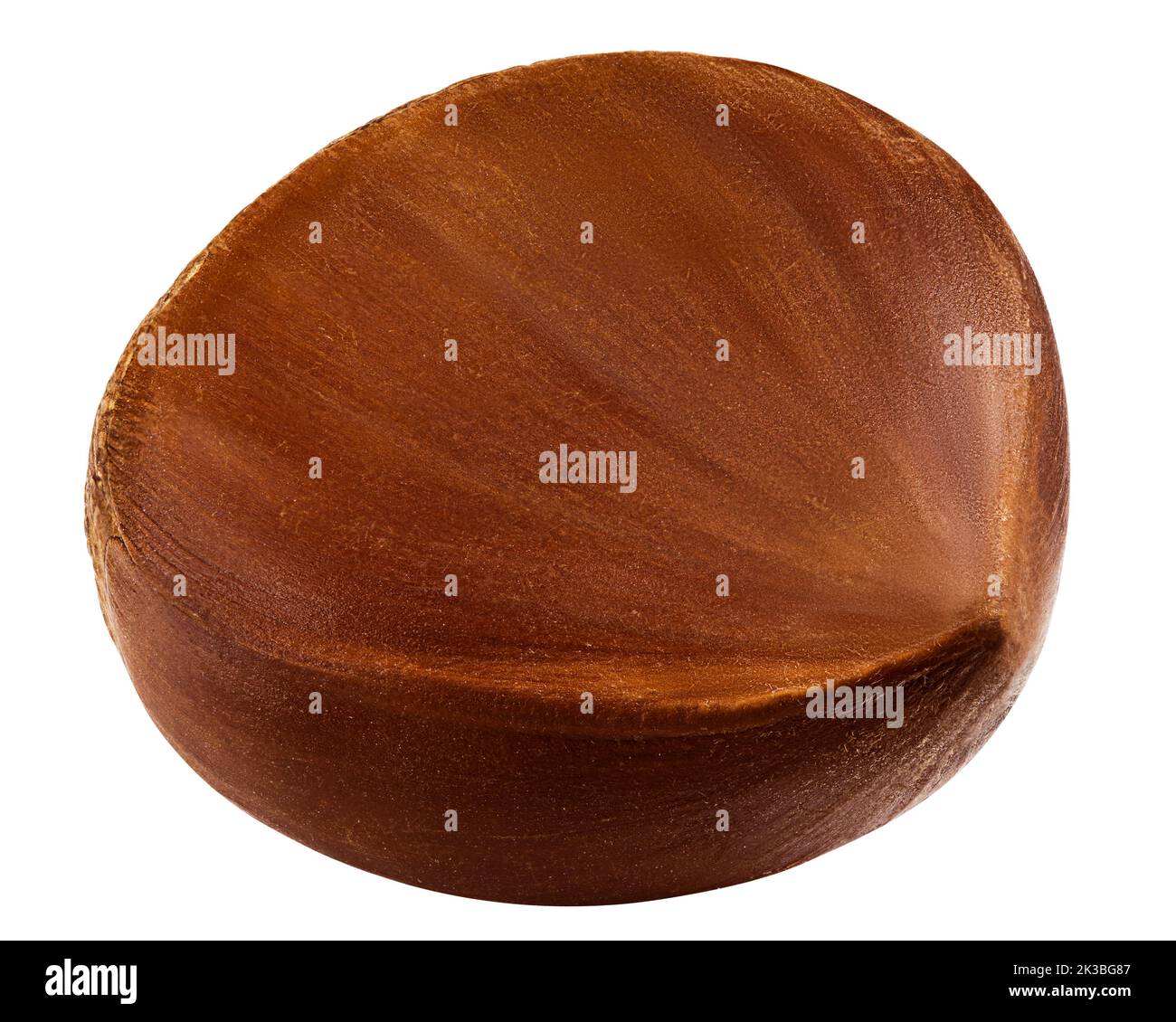 Chestnut, isolated on white background, clipping path, full depth of ...