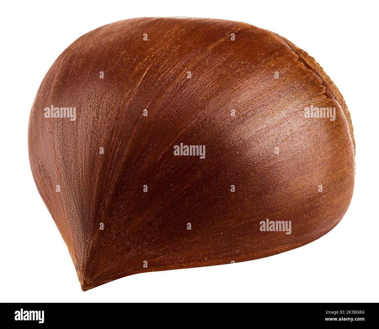 Chestnut, isolated on white background, clipping path, full depth of ...