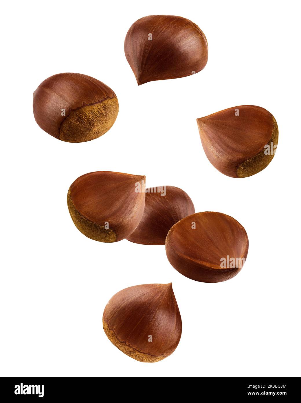 Falling Chestnuts, isolated on white background, clipping path, full ...