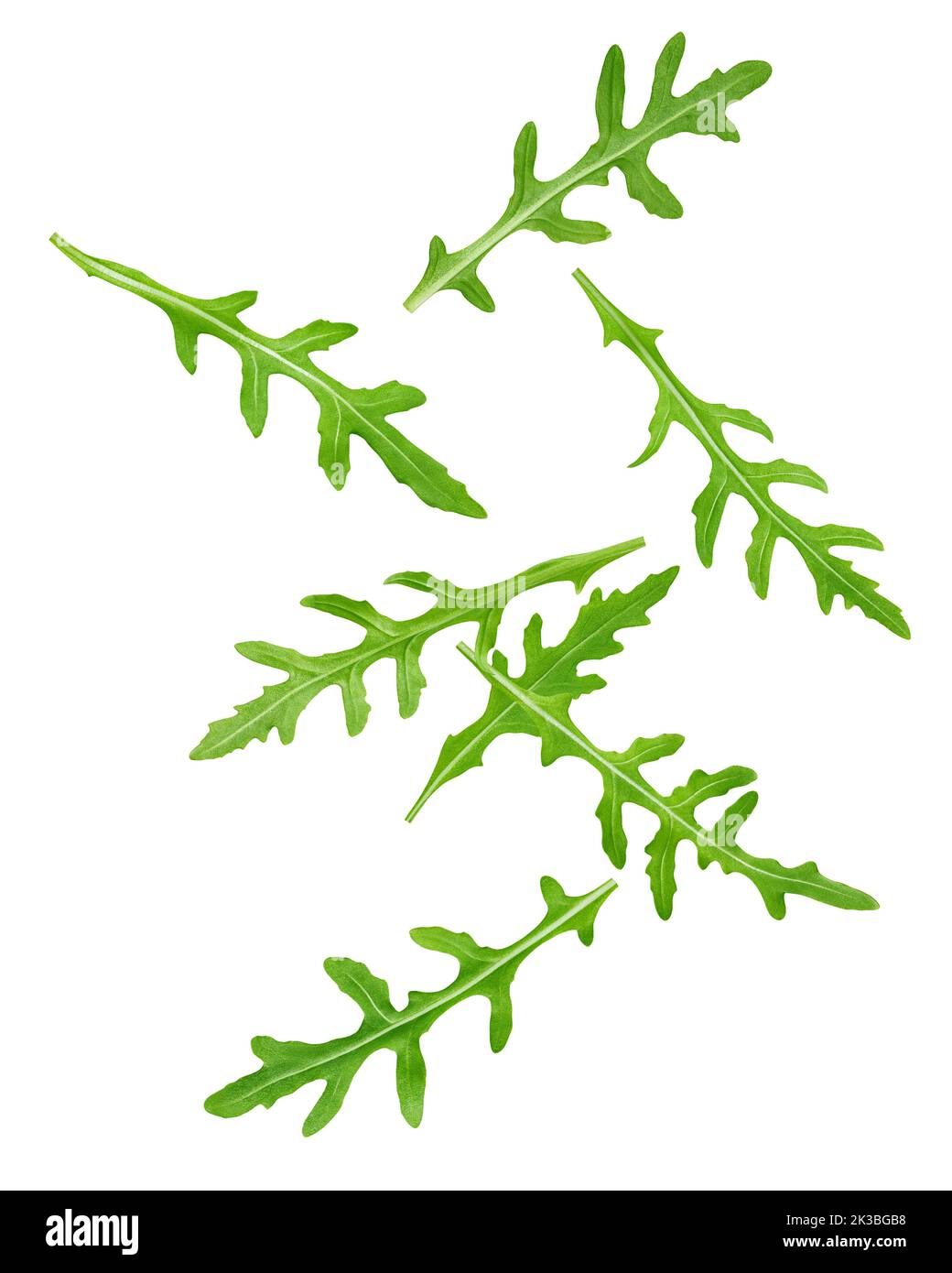 Falling Arugula, rocket, eruca, rucola, isolated on white background ...