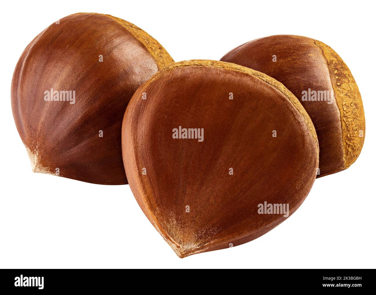 Chestnuts, isolated on white background, clipping path, full depth of ...