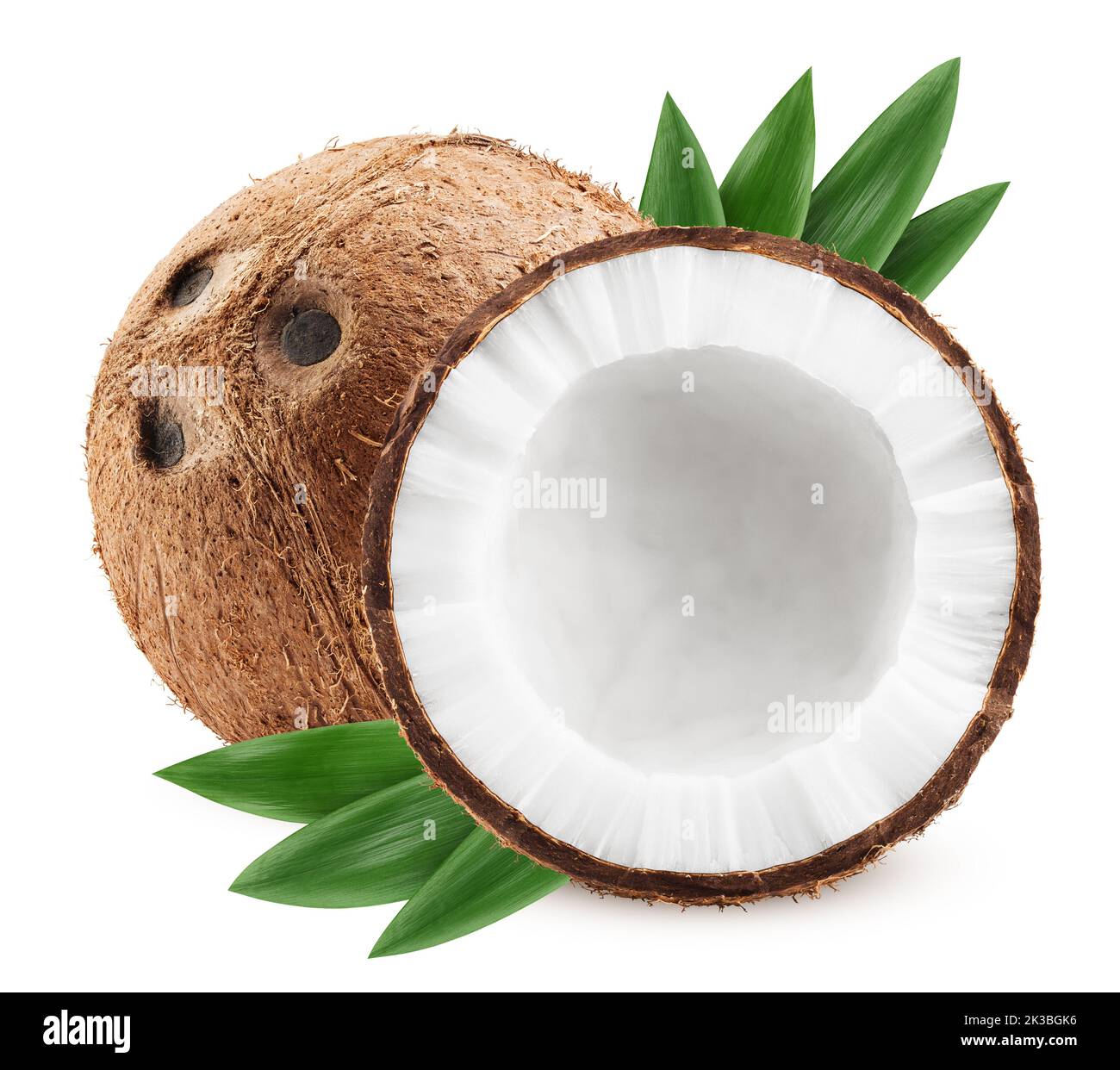 coconut, isolated on white background, clipping path, full depth of ...