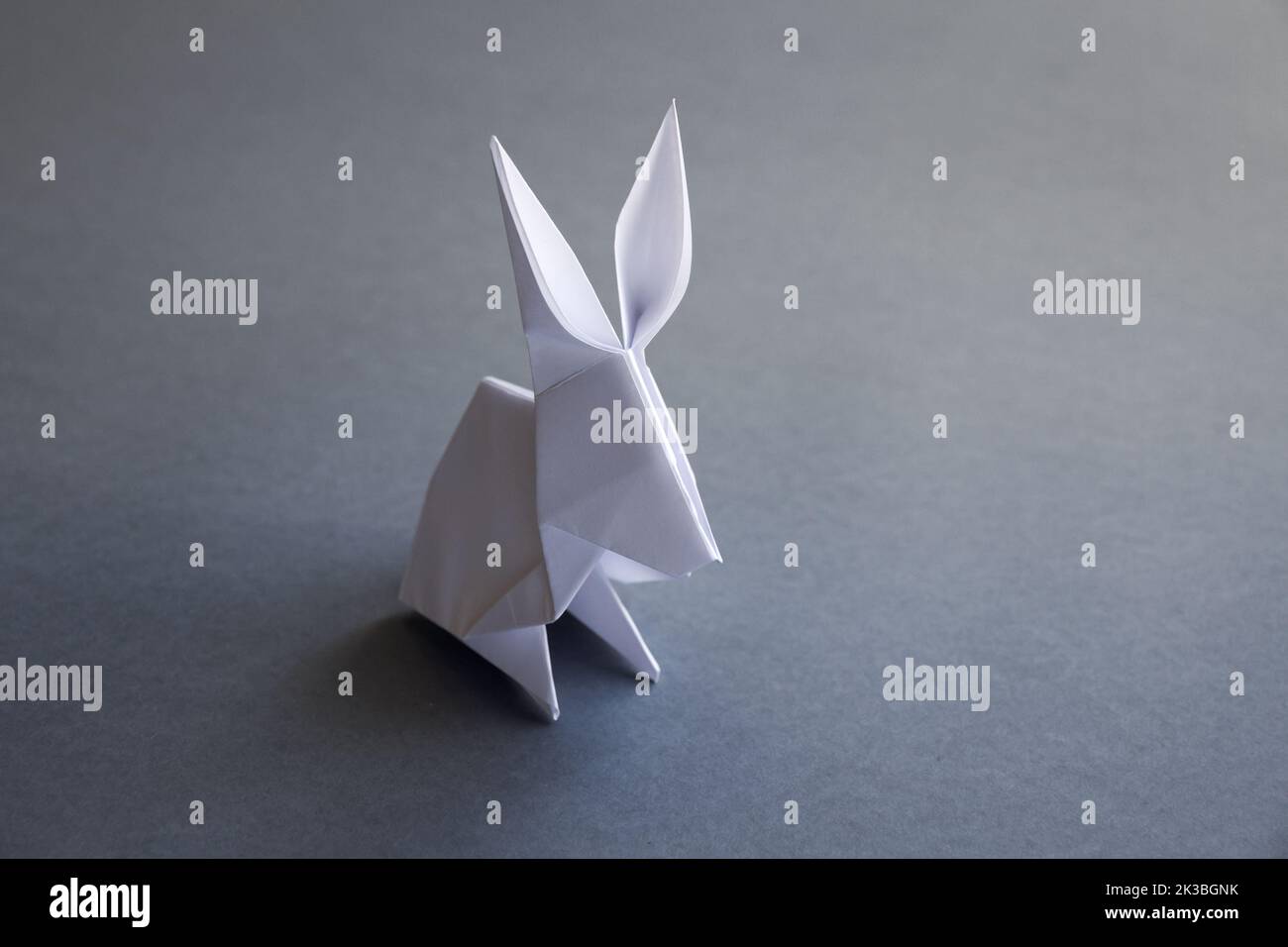 White paper rabbit origami isolated on a blank grey background Stock ...