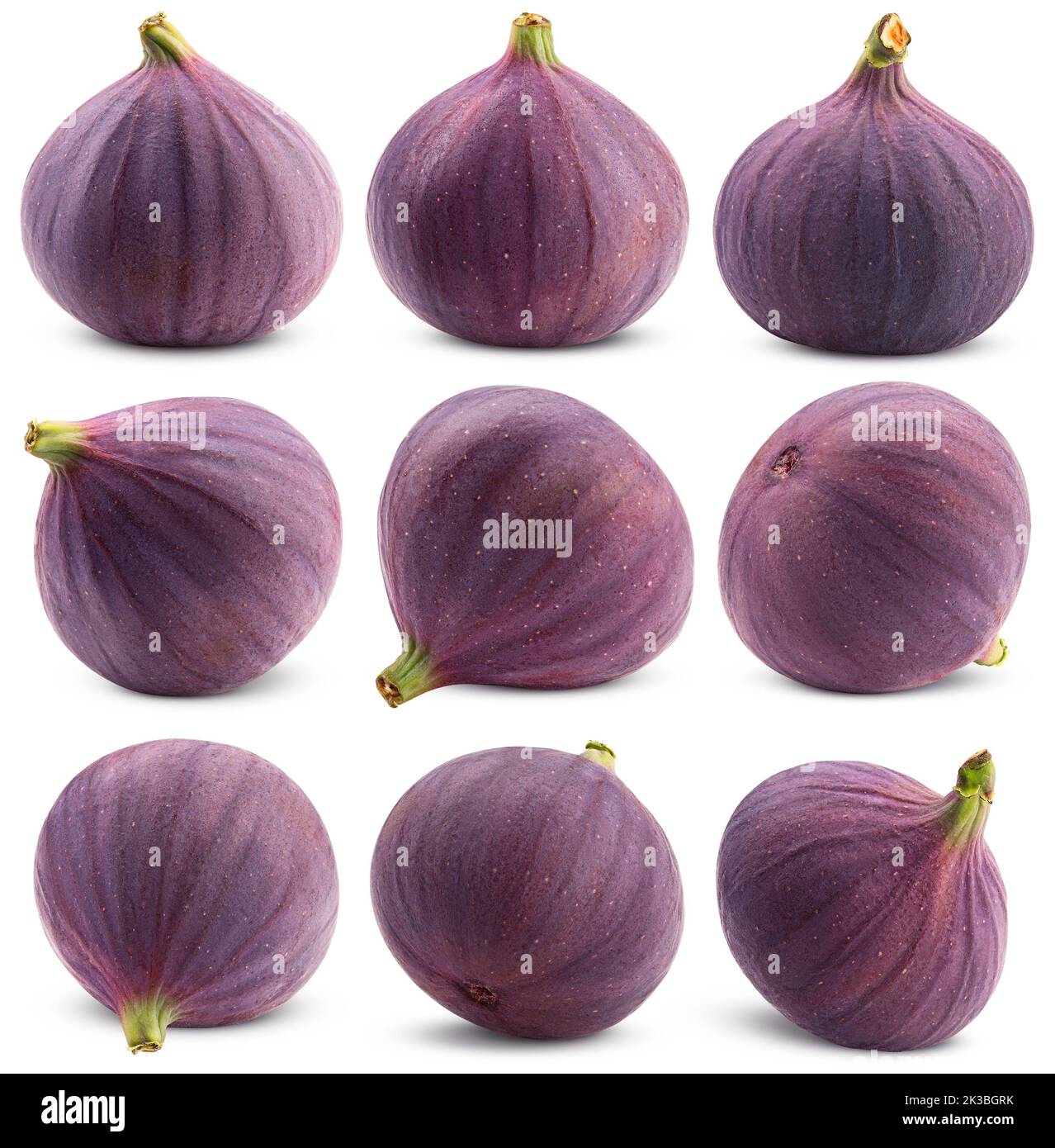 Fig cross section hi-res stock photography and images - Alamy