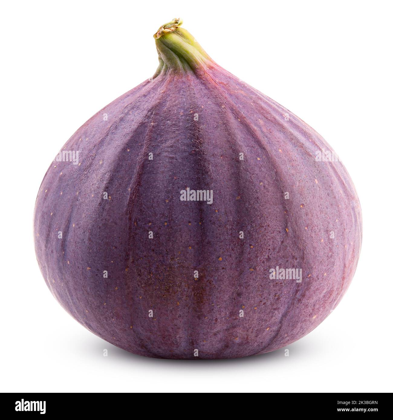 Fig cross section hi-res stock photography and images - Alamy