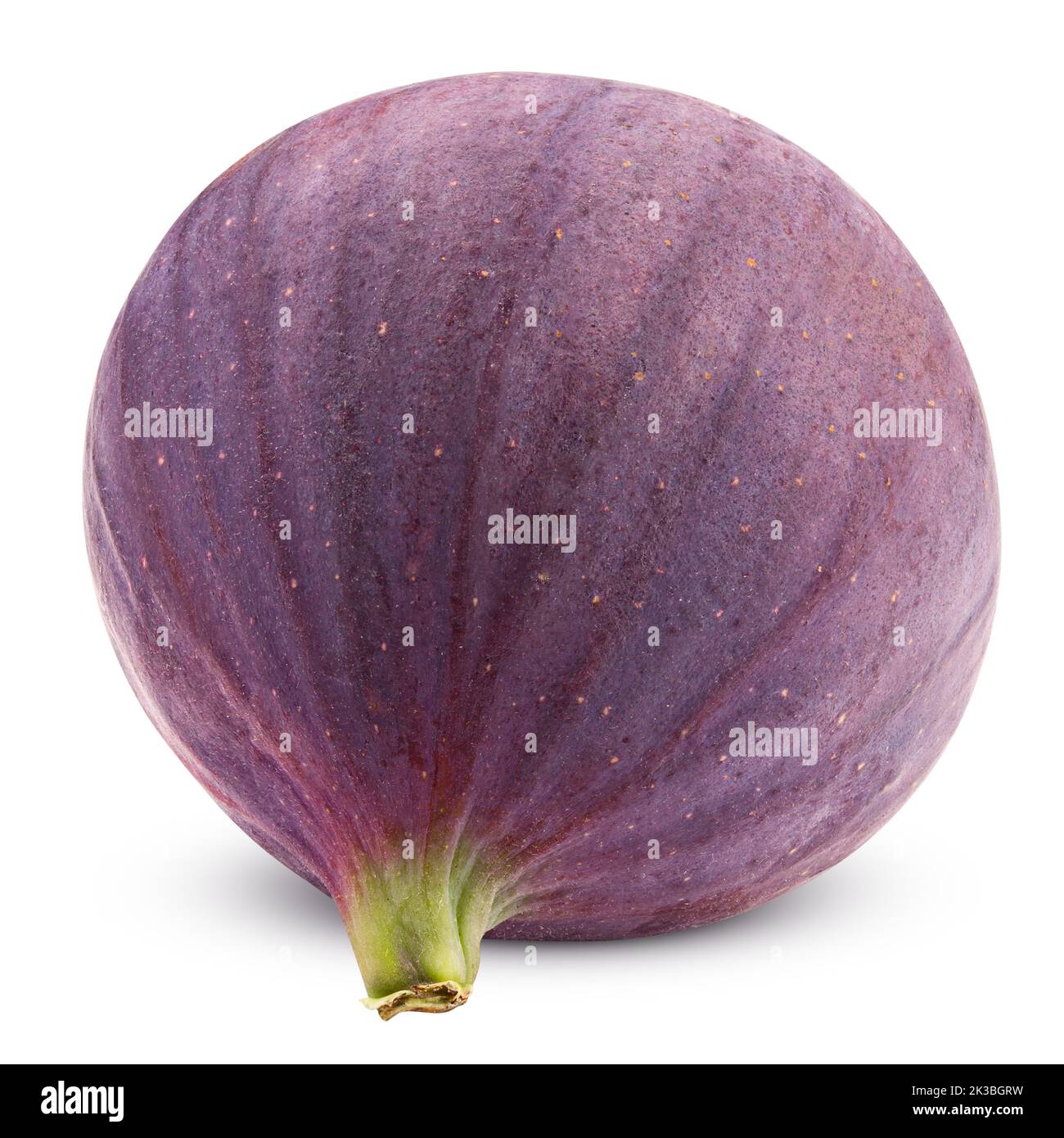 fig isolated on white background, clipping path, full depth of field ...