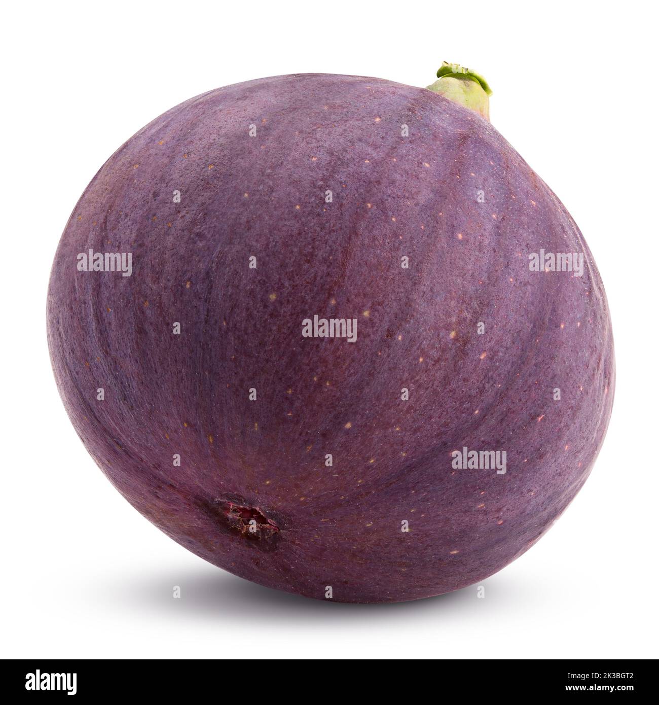 Fig cross section hi-res stock photography and images - Alamy