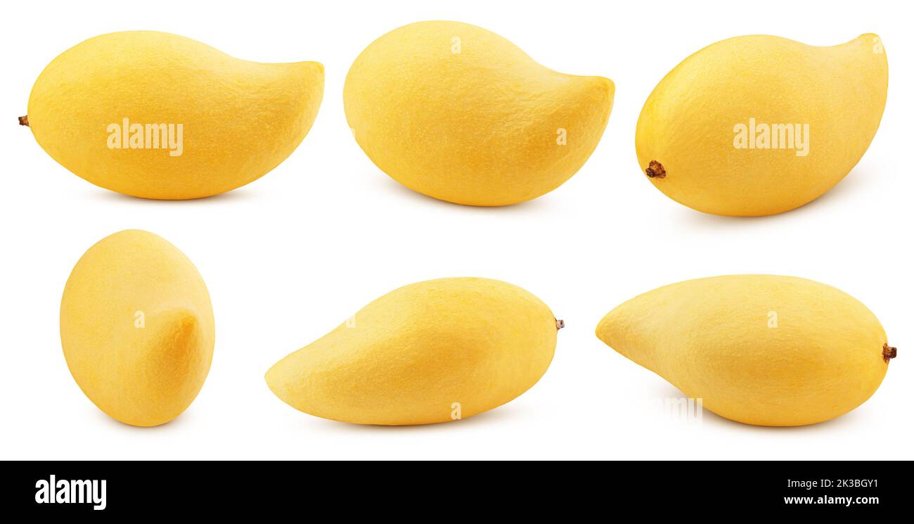 yellow mango isolated on white background, clipping path, full depth of ...