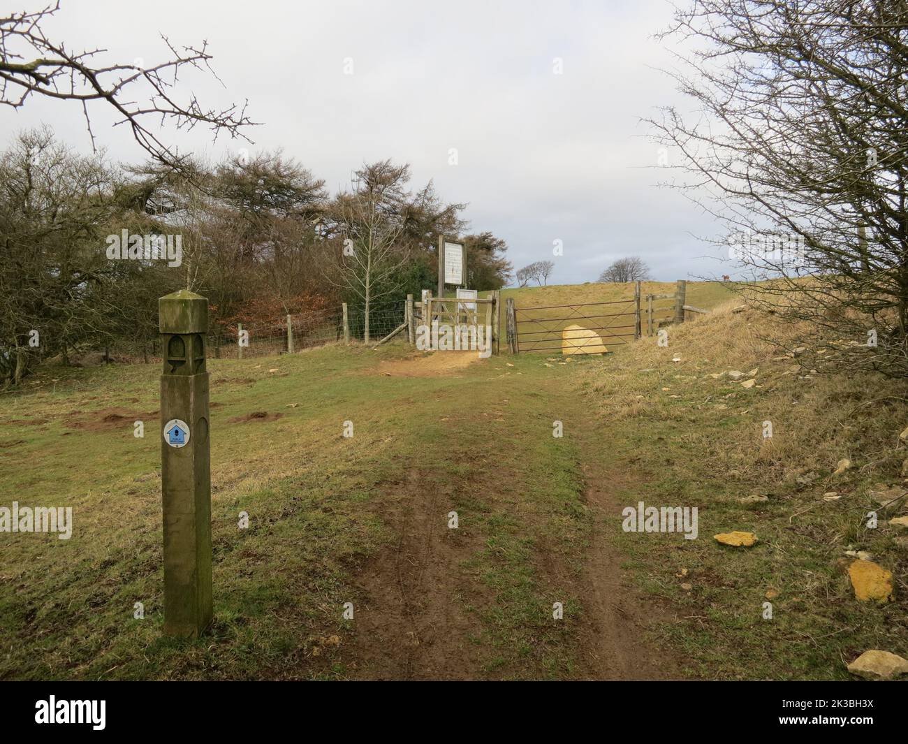 Cotswold Way long distance footpath National Trail. The Cotswolds AONB ...