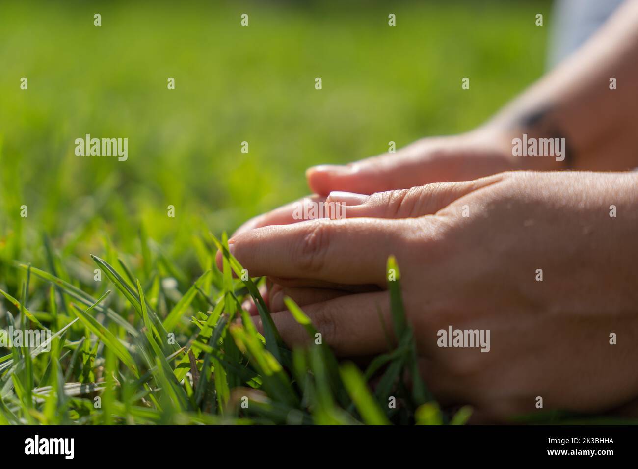 The hands in the green grass Stock Photo - Alamy
