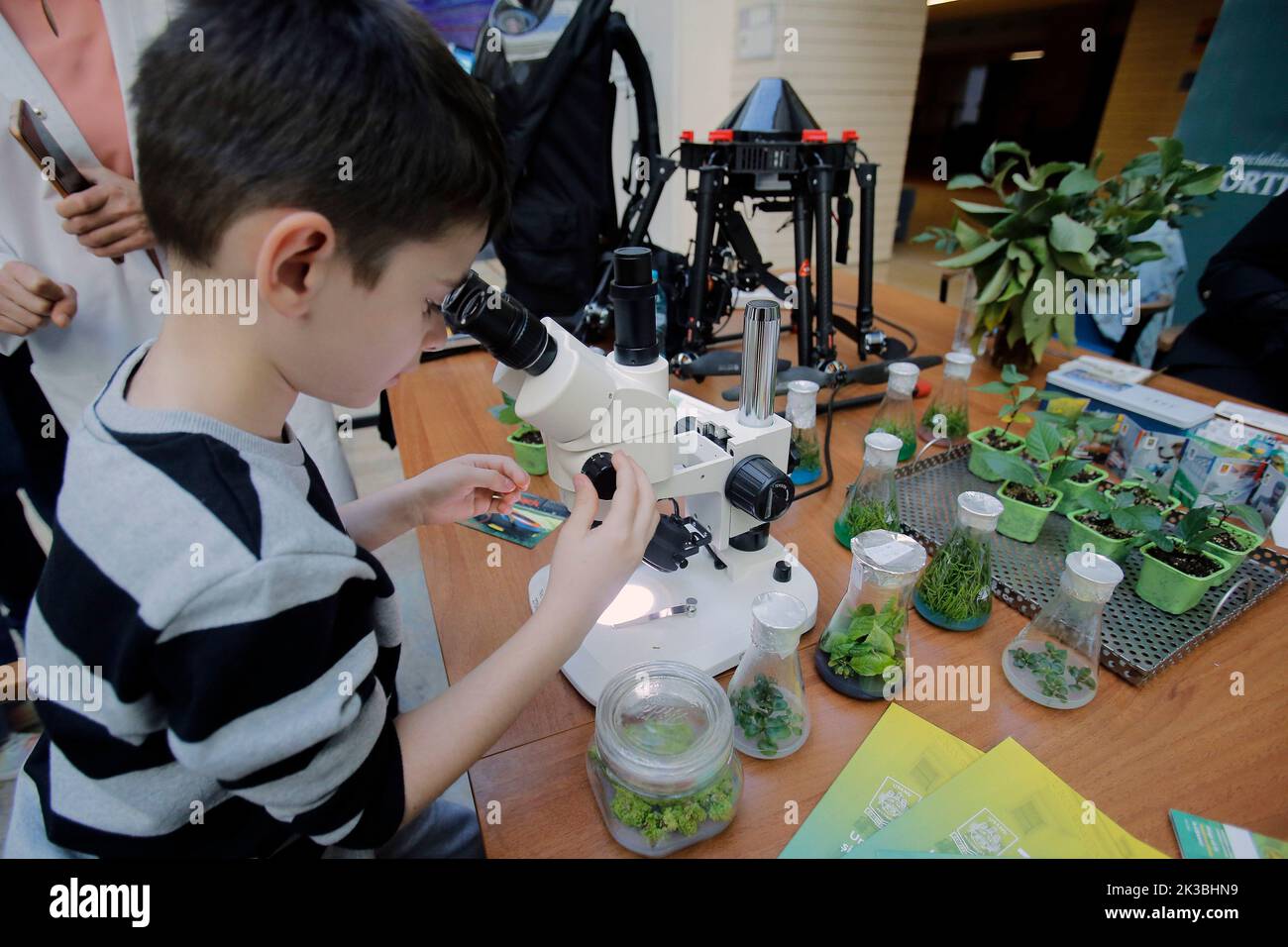 Microscope enthusiasts hi-res stock photography and images - Alamy