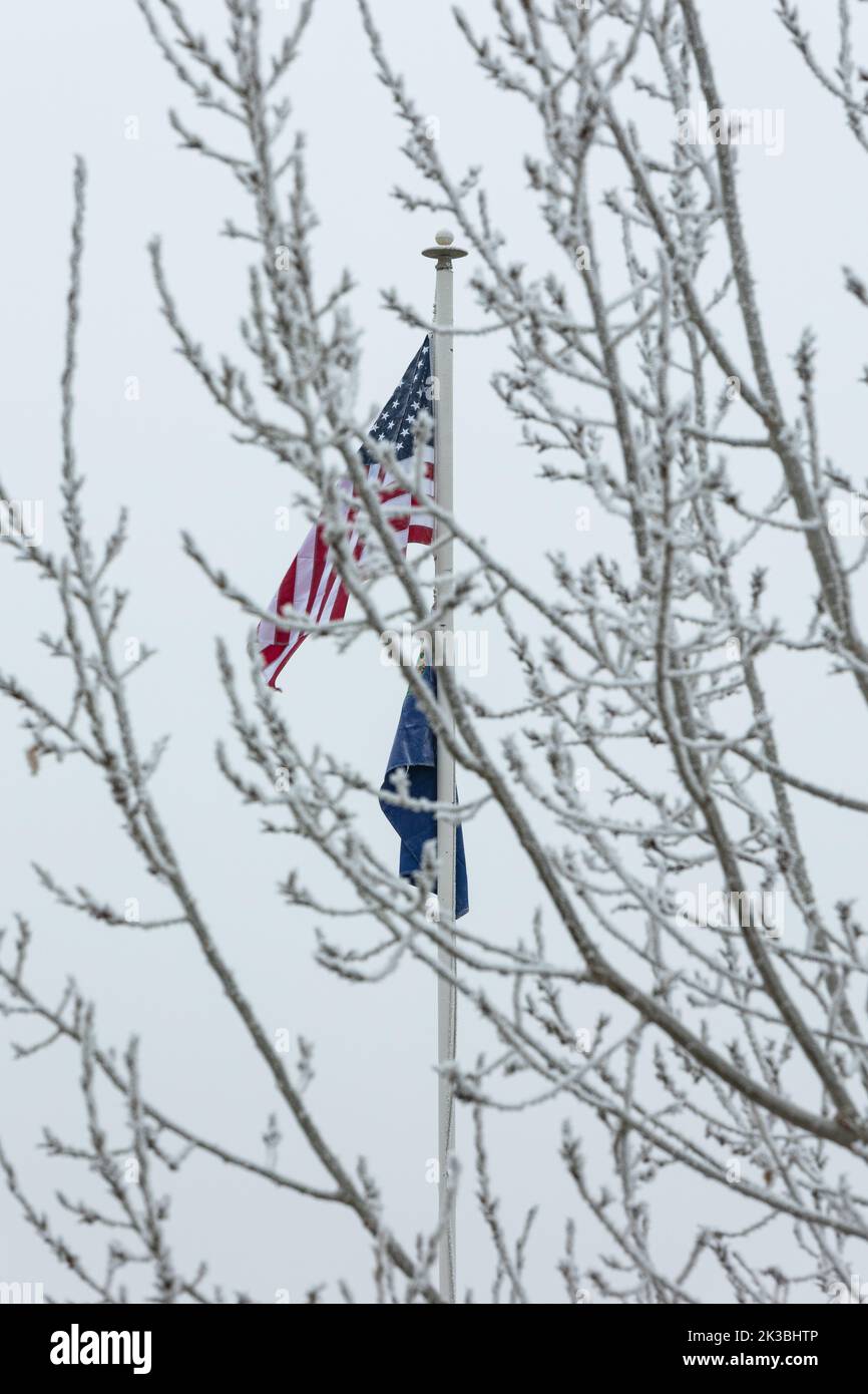 Flags branches hi-res stock photography and images - Alamy