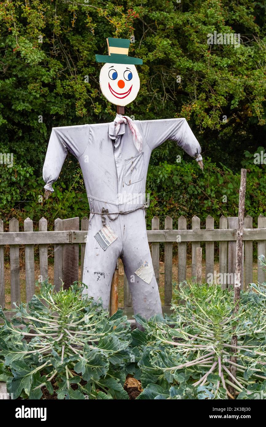Scarecrow face hi-res stock photography and images - Alamy