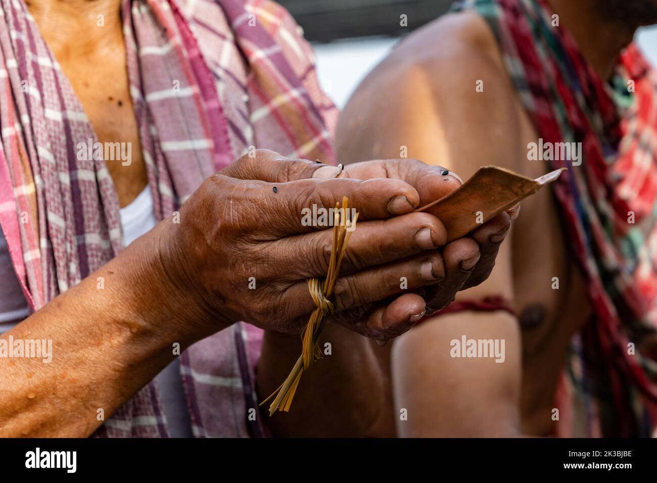 Tarpana hi-res stock photography and images - Alamy
