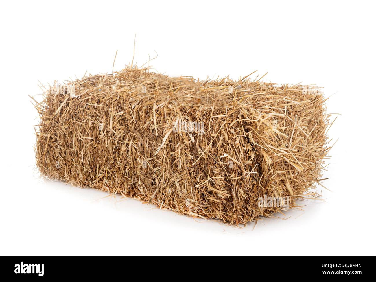 Horse in straw Cut Out Stock Images & Pictures - Alamy