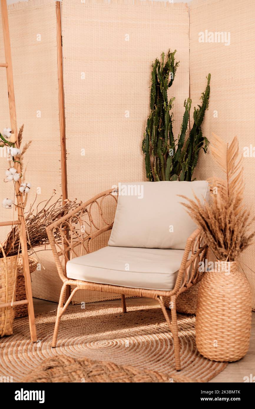 Plant ladder cactus hi-res stock photography and images - Alamy